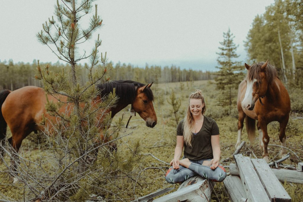 Tessa Murray - Retreats And Venues