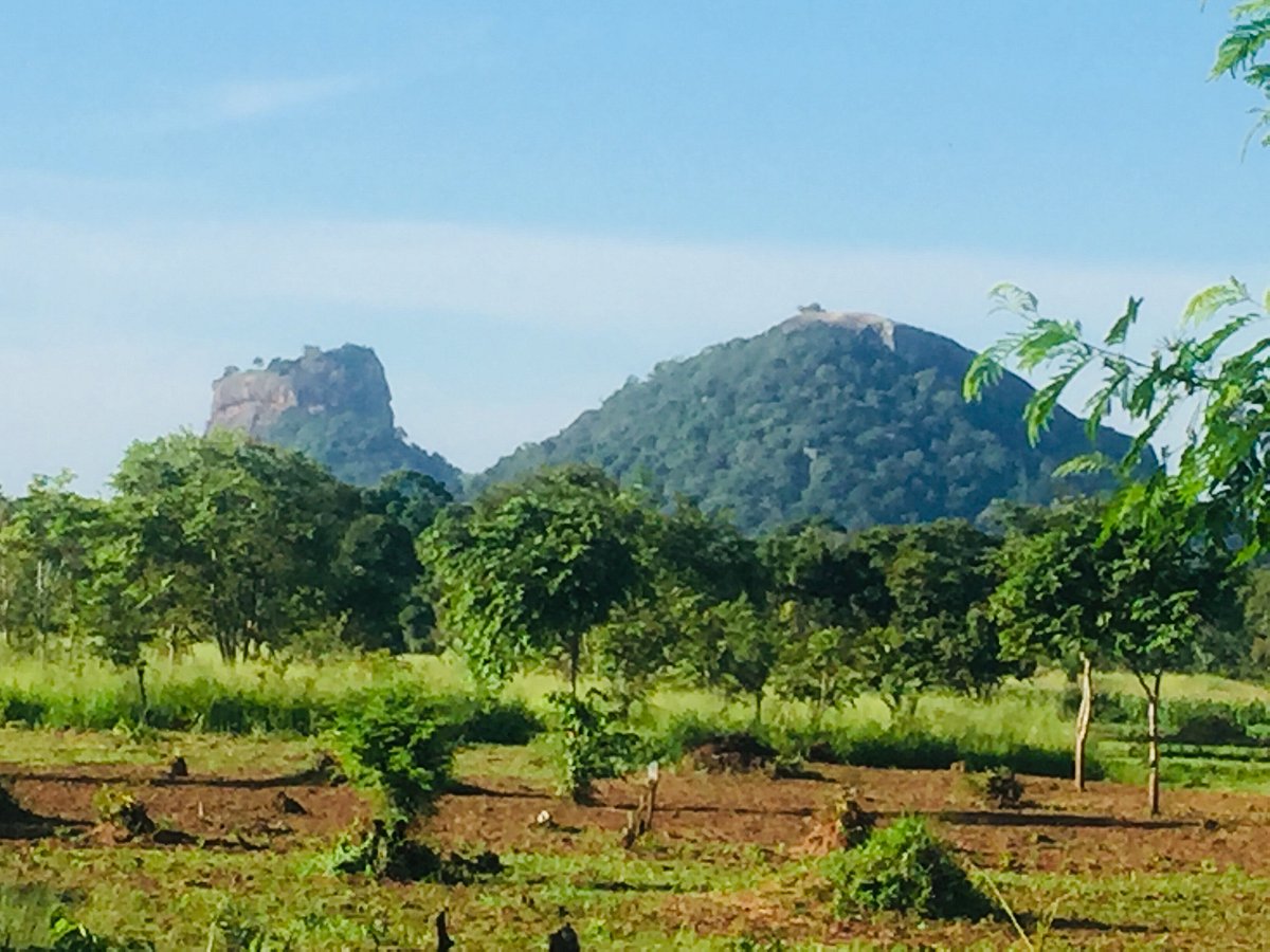 Kuwera Eco Lodge - Retreats and Venues