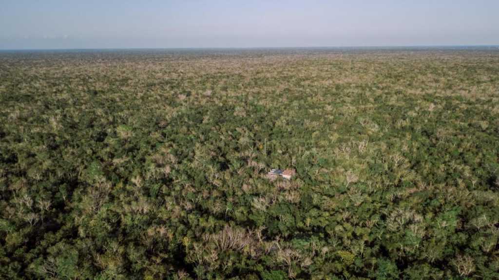 Naum Tulum - Retreats and Venues